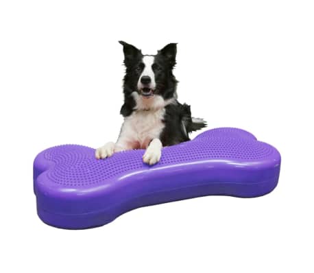 FitPAWS Dierenbalansplatform Giant K9FITbone PVC violet kopen? | vidaXL.nl