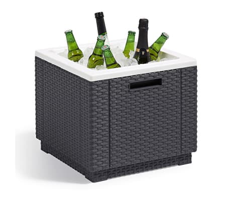 Keter Cooler Box Ice Cube Graphite | vidaXL.ie