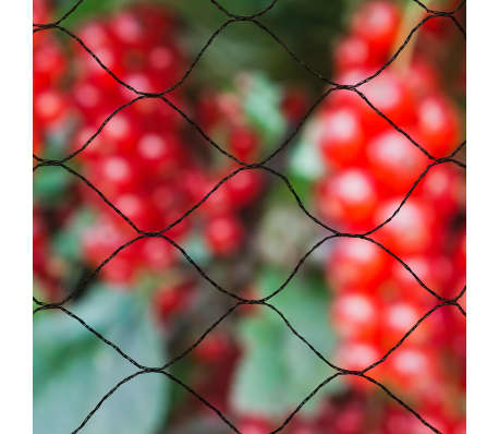 Nature fuglenet Primo 10x10 m sort 6030407 | vidaXL.dk