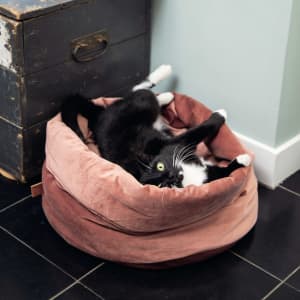 Designed by Lotte Kattenmand FLUCO roze kopen? | vidaXL.nl