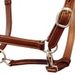Licol Licou en cuir réglable pour écurie Cheval Noir | vidaXL.fr