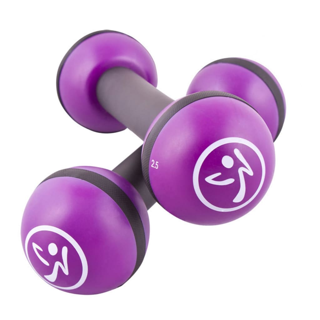 Zumba Toning Sticks 2 pcs 1 kg Purple ZUM011 | vidaXL.co.uk